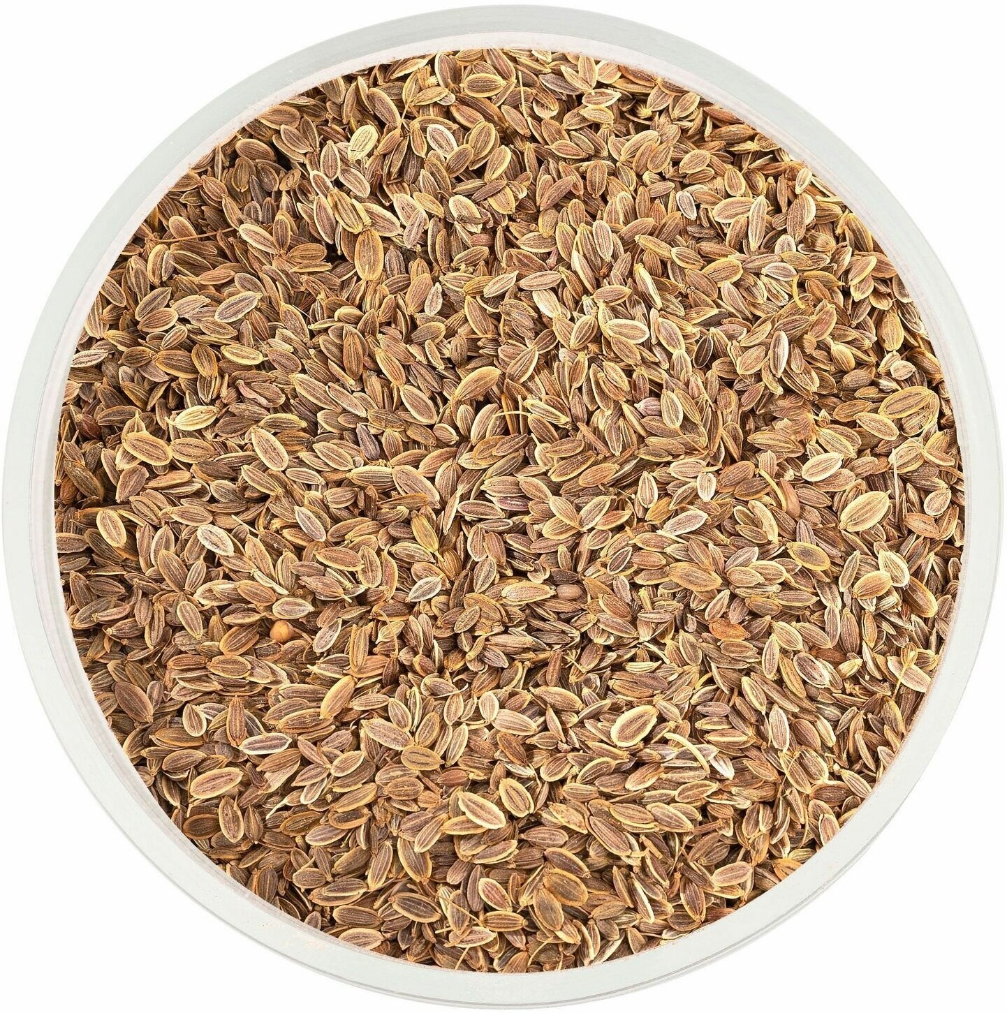 Укроп семя 1 кг.