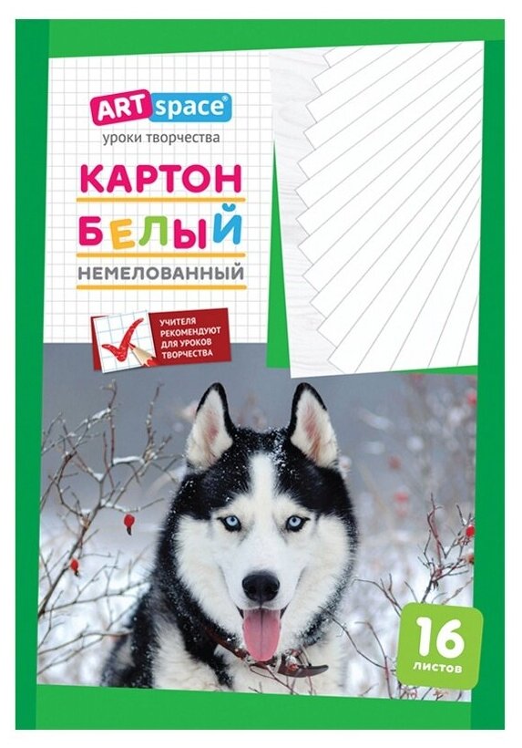 Картон белый ArtSpace A4, 16 листов, немелованный, в папке (Нкн16б_6962 / 220683)