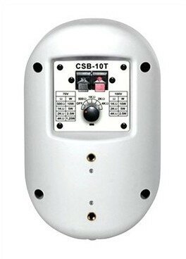 Громкоговоритель настенный SHOW CSB-10T/WH