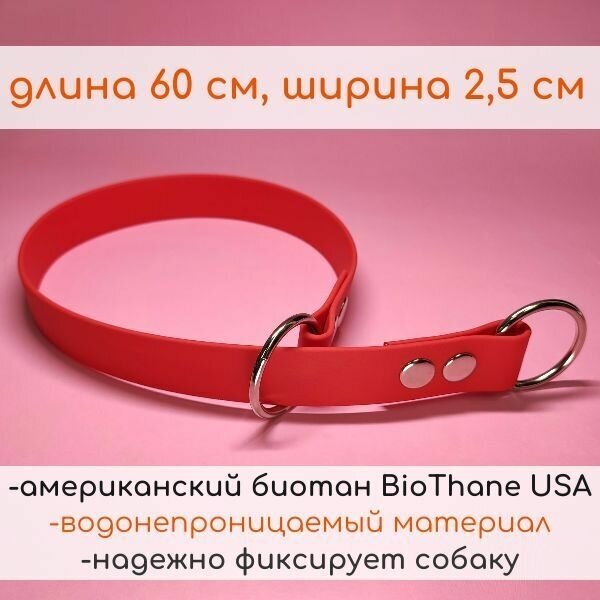 R-Dog Ошейник-удавка из биотана (Biothane USA), цвет красный, длина 60 см, ширина 2,5 см