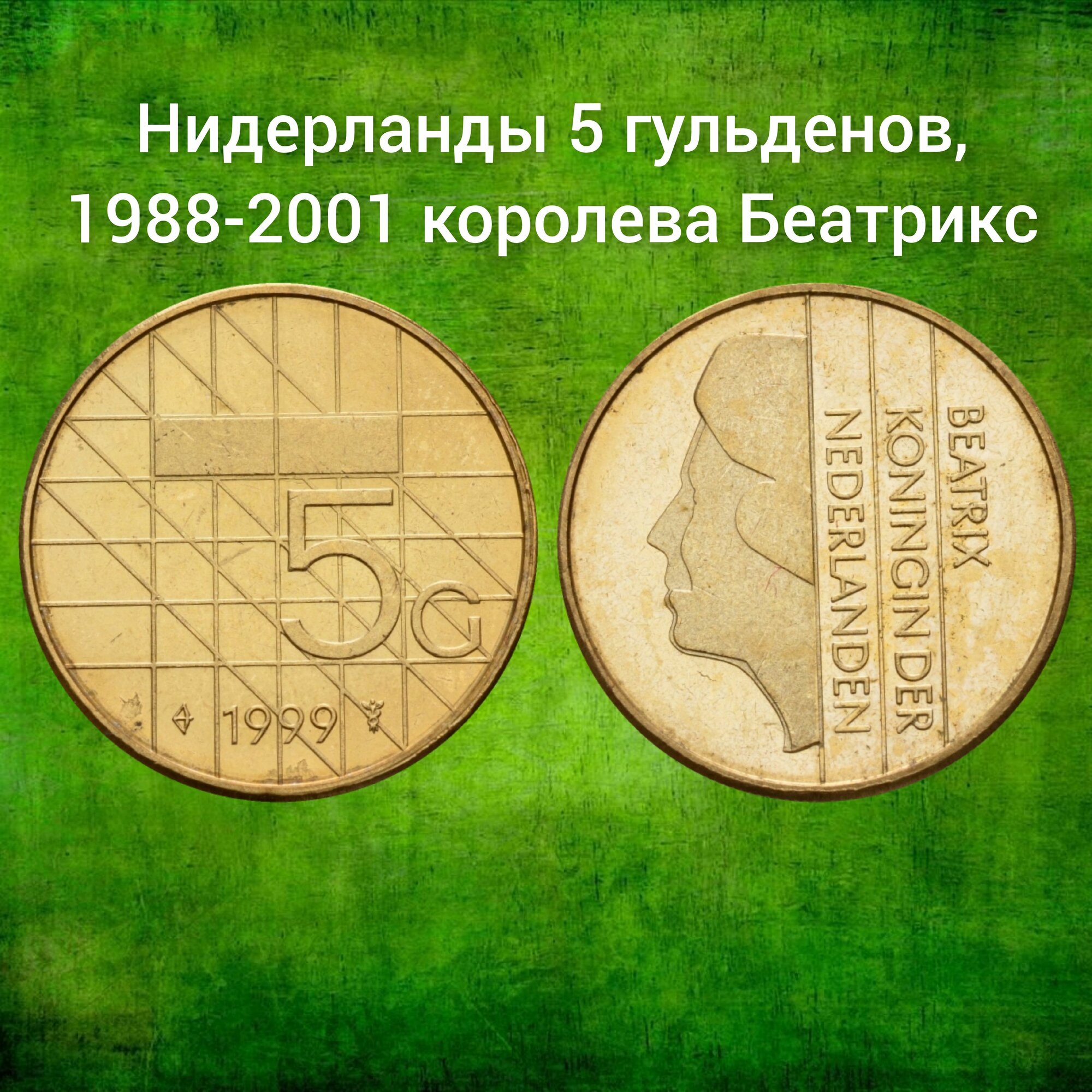 Нидерланды 5 гульденов, 1988-2001 королева Беатрикс XF