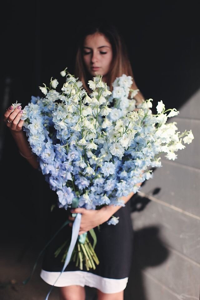 Премиум букет из дельфиниума, премиум цветы, шикарный, красивый букет цветов, дельфиниум.