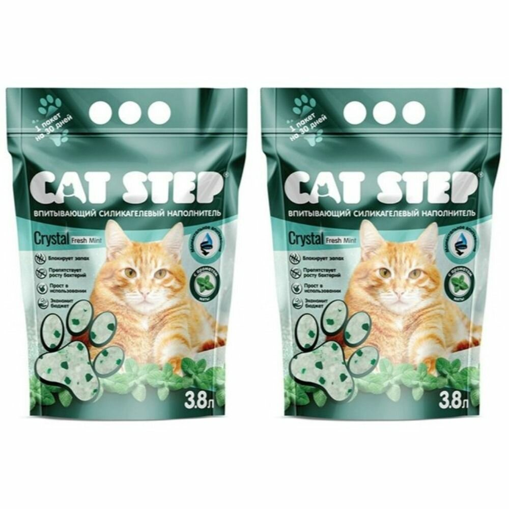 Cat Step Наполнитель Arctic Fresh Mint, силикагелевый, 3,8 л, 1,67 кг, 2 уп