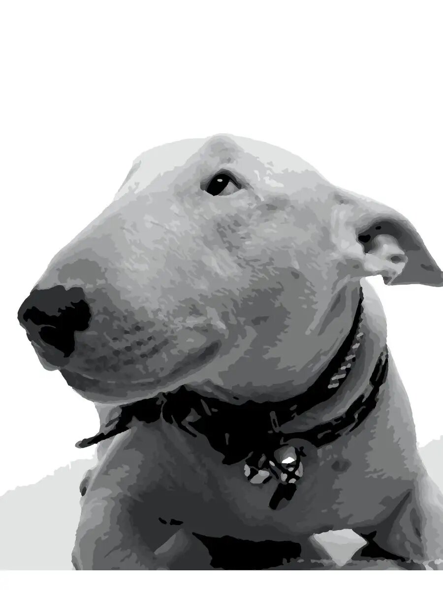 Картина по номерам Бультерьер 40х50 см