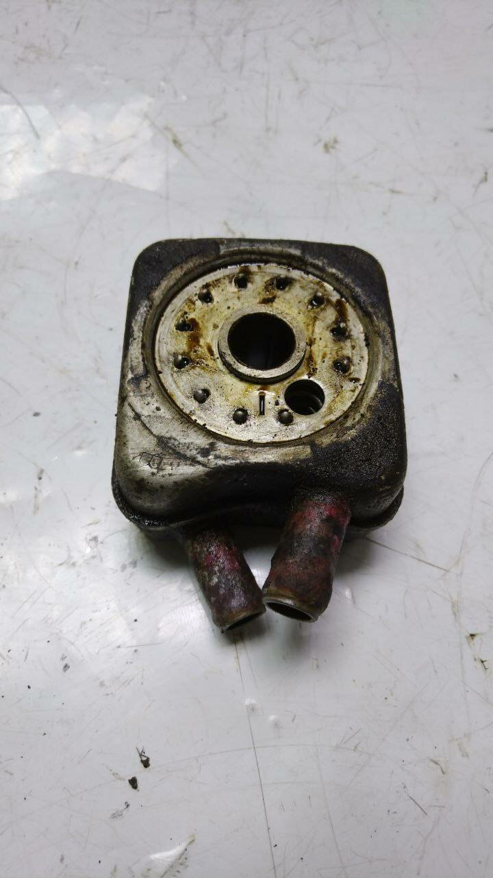 Радиатор масляный Volkswagen Golf 4 2000 53648012