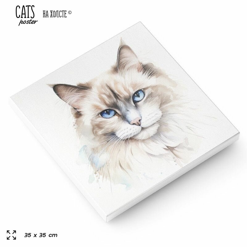 Картина Рэгдолл, 35х35 см, холст с печатью на подрамнике, интерьерная, SilverPlane