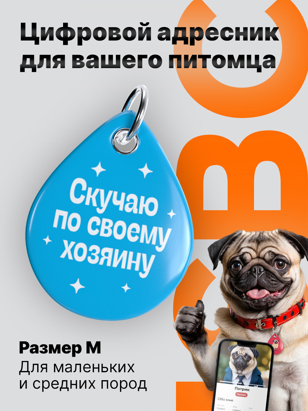 Адресник для собак и кошек от ISBC с NFC и QR-кодом, Скучаю по своему хозяину, синий