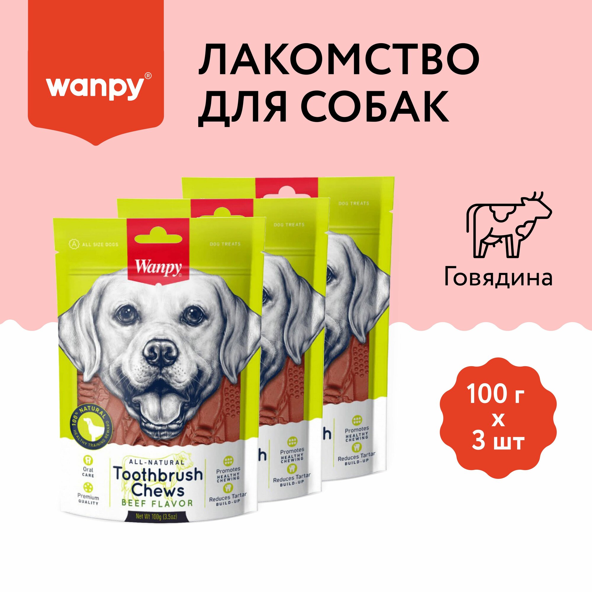 Wanpy Dog Лакомство для собак "Зубные щетки со вкусом говядины" 100 г*3 шт