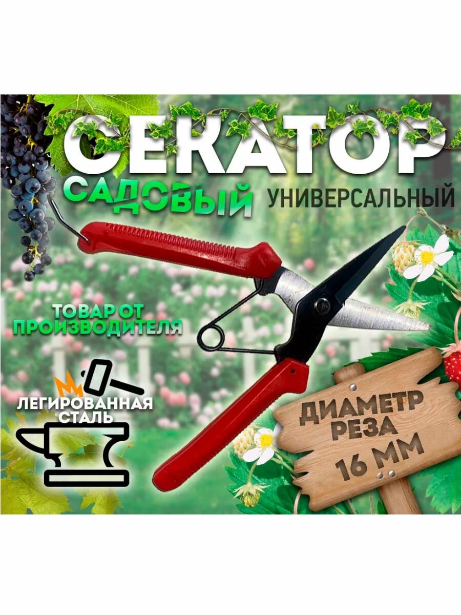 Секатор техпром "S 5042/1", сталь, ABS-пластик, длина лезвия 80мм, эргономичный дизайн