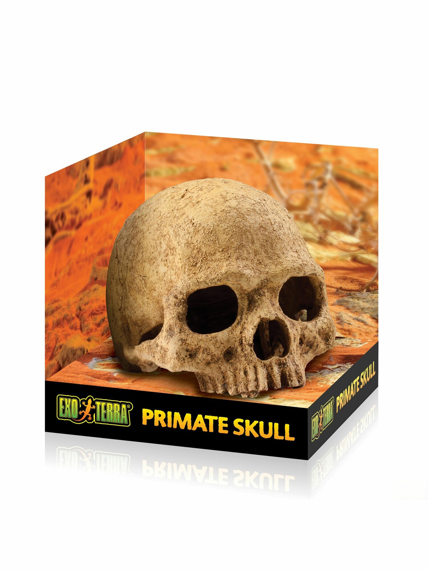Укрытие для террариума череп примата EXO TERRA "Primate Skull", PT2855