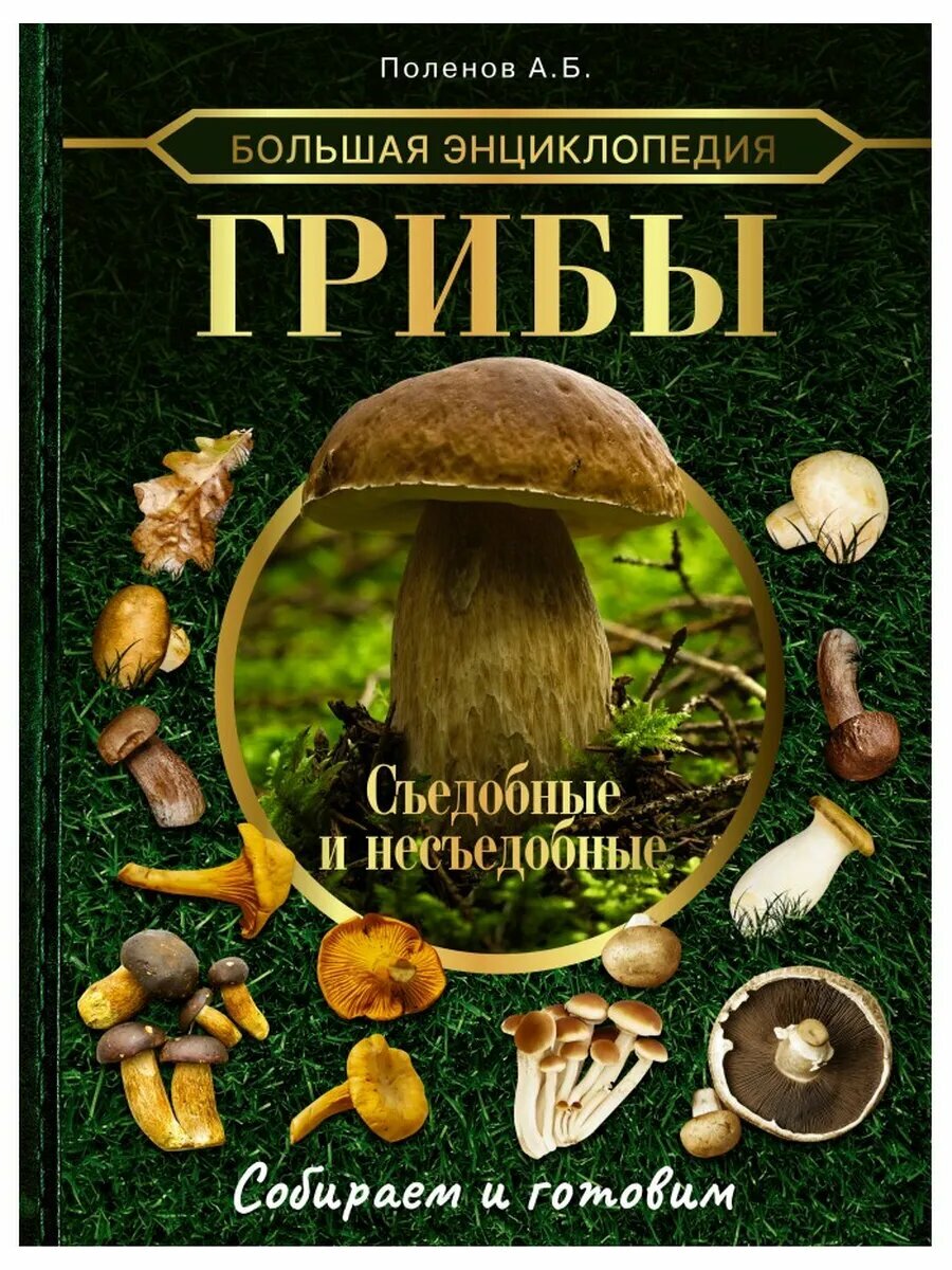 Большая энциклопедия. Грибы. Съедобные и несъедобные. Собир