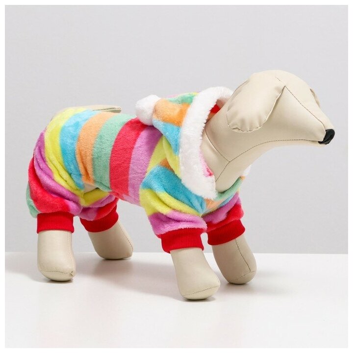 Комбинезон «Радуга», с капюшоном, размер S, ДС 25 см, ОГ 35 см, ОШ 25 см, разноцветный