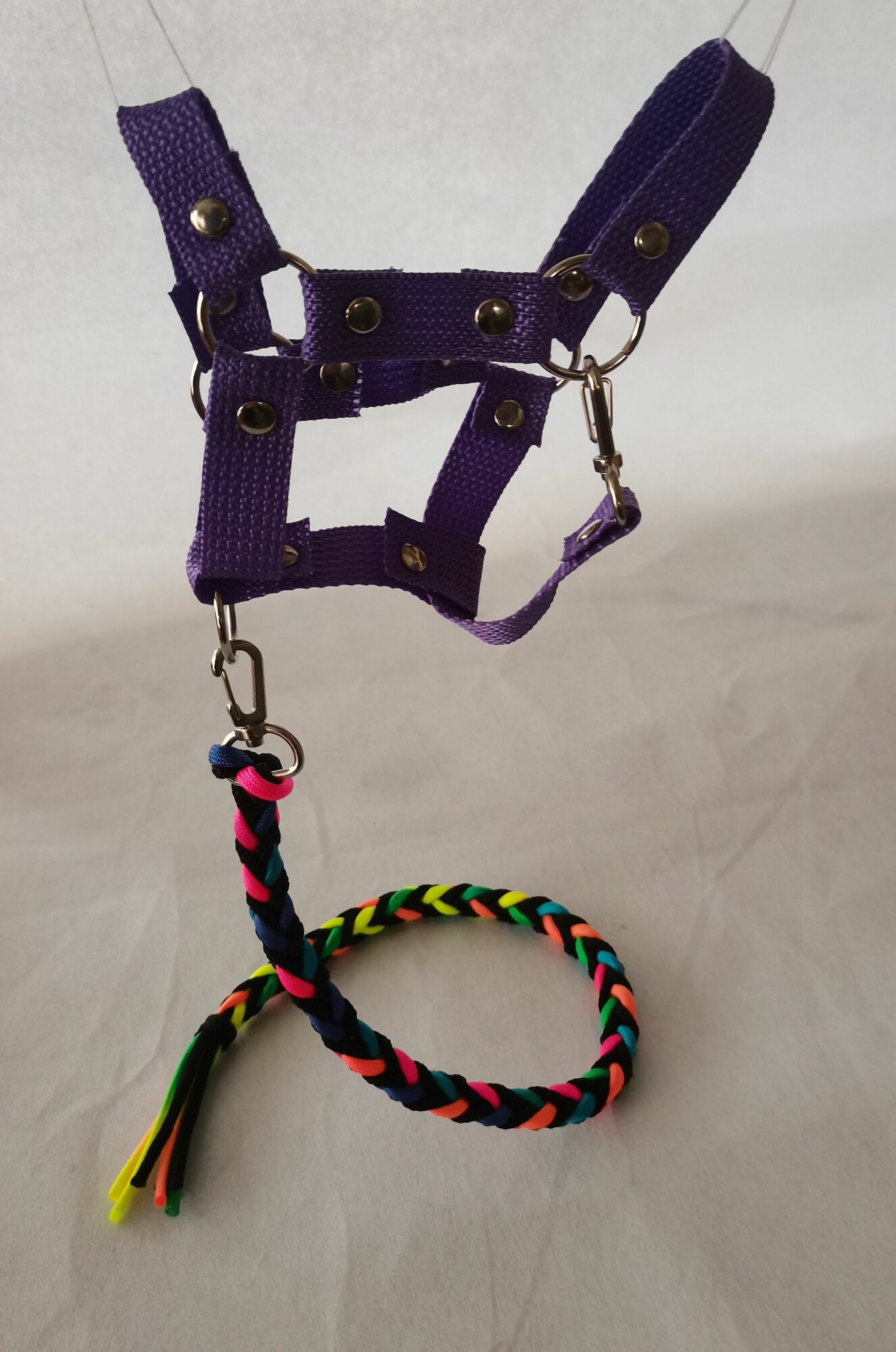 Недоуздок для хоббихорс, с чембуром