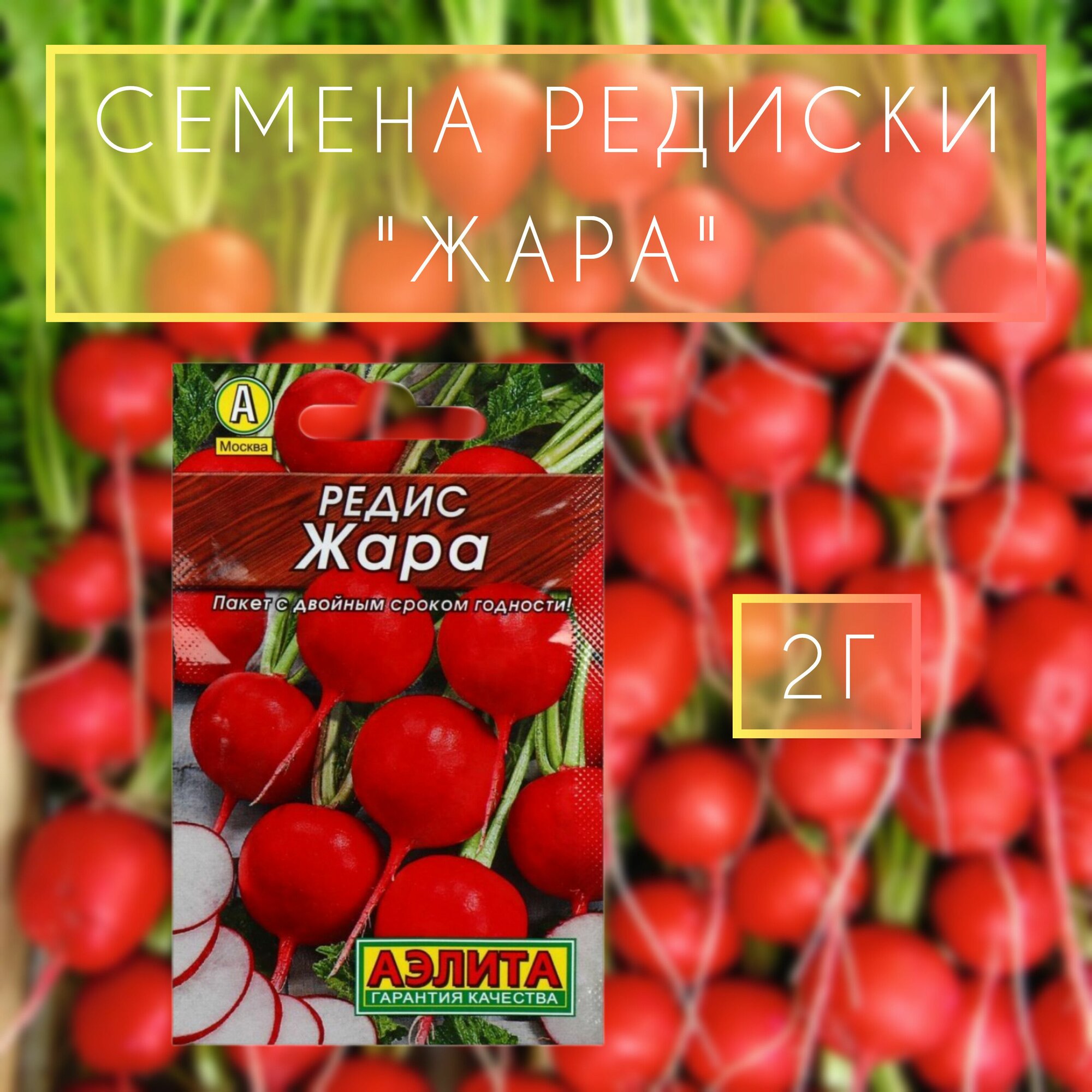 Семена редиса "жара", 2г