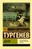 Дым / Тургенев И. С.