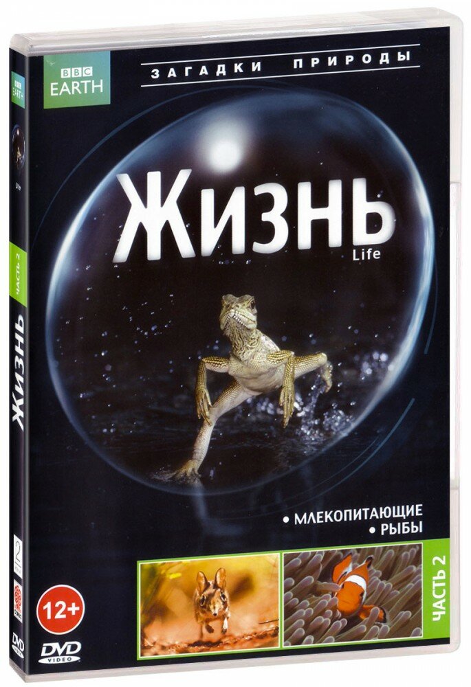BBC: Жизнь. Часть 2 (DVD) (ДВД диск, DVD Box, Великобритания)
