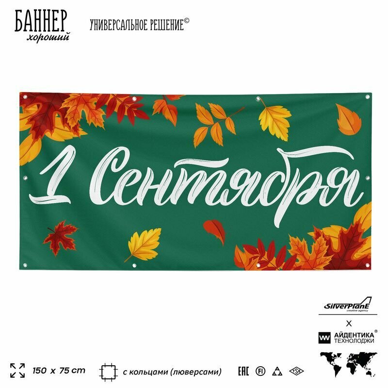 Баннер для праздника, 1 сентября, День Знаний, 150х75см, зеленый, SilverPlane х Айдентика Технолоджи