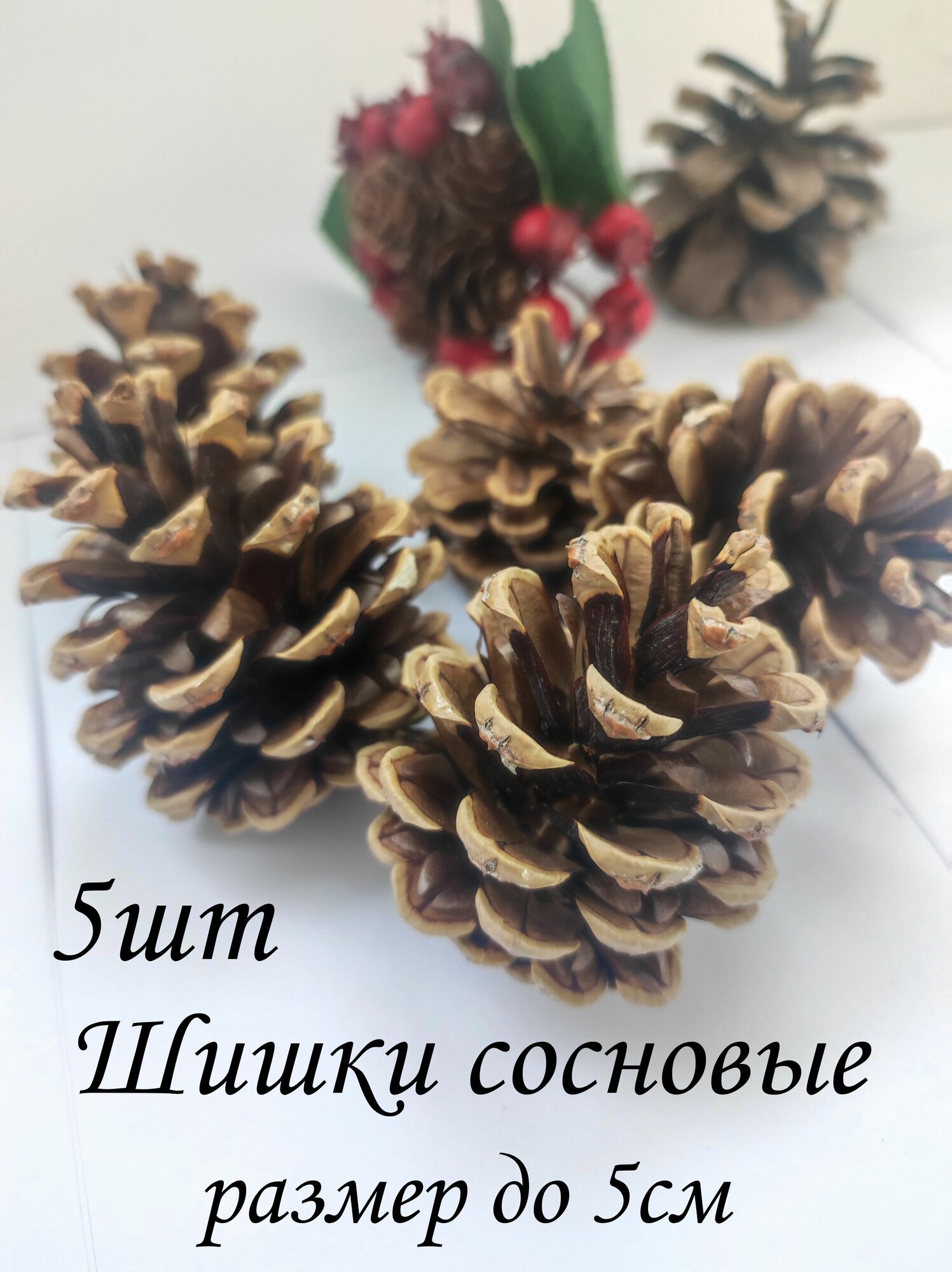 Шишки сосновые для поделок