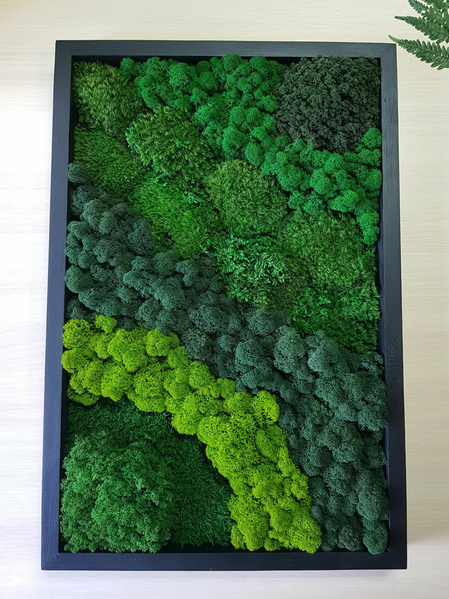 Панно/картина из мха/60*40/ Зеленая мечта