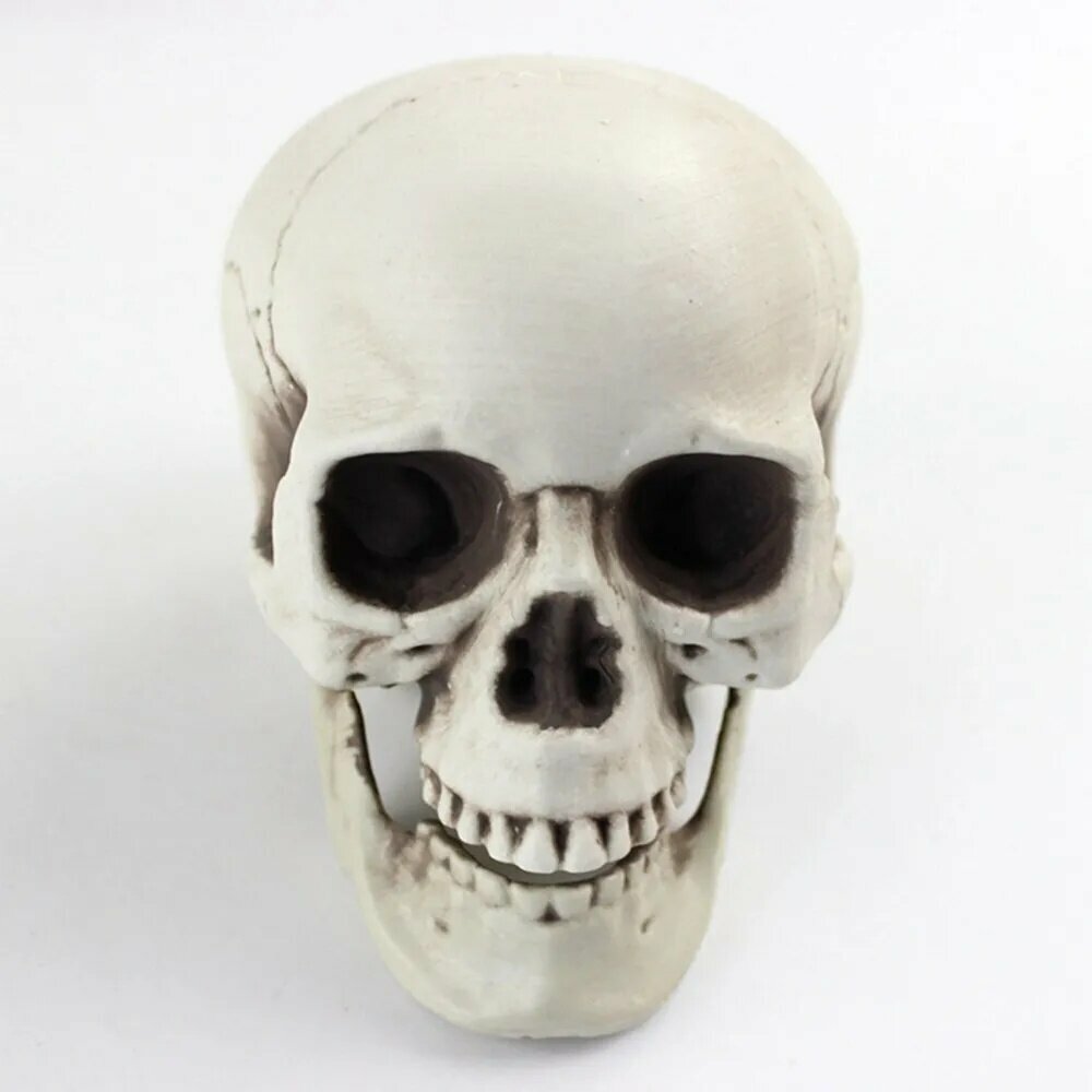 Имитация человеческого черепа, декоративный череп на Хэллоуин, модель №4