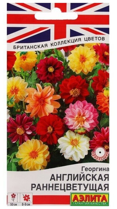 Семена Цветов Георгина Английская раннецветущая, смесь сортов --- Одн Британская коллекция