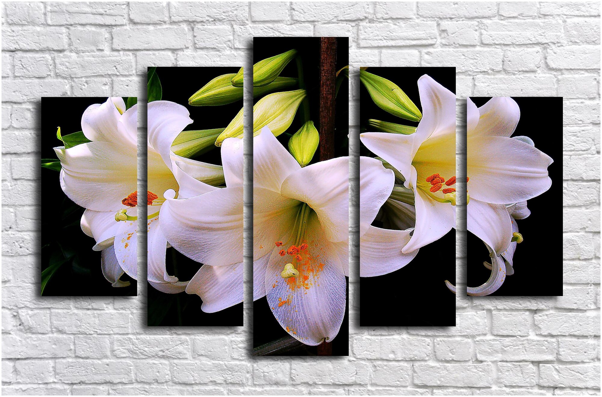 Модульная картина для интерьера / Картина на стену Белые лилии 140x80 см