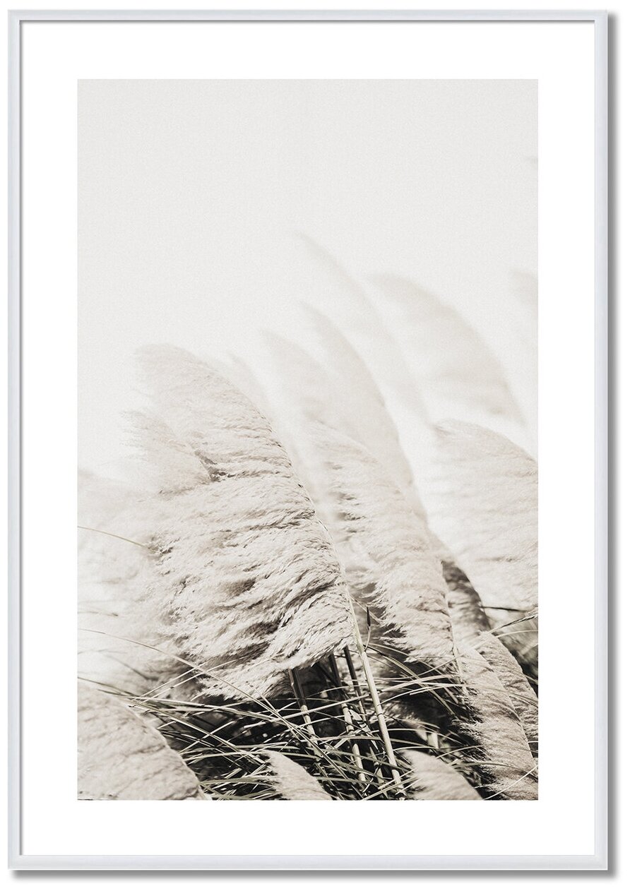 Постер в рамке Postermarkt Колосья #2, 40х50 см