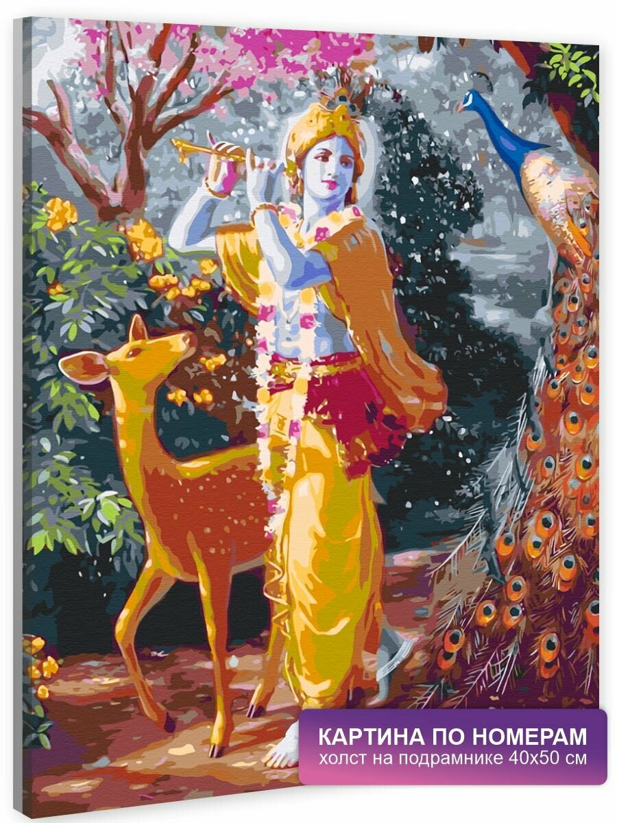 Картина по номерам на холсте с подрамником 40х50 см. Мир, вселенная, человек, люди. "Кришна ", арт. 4643/