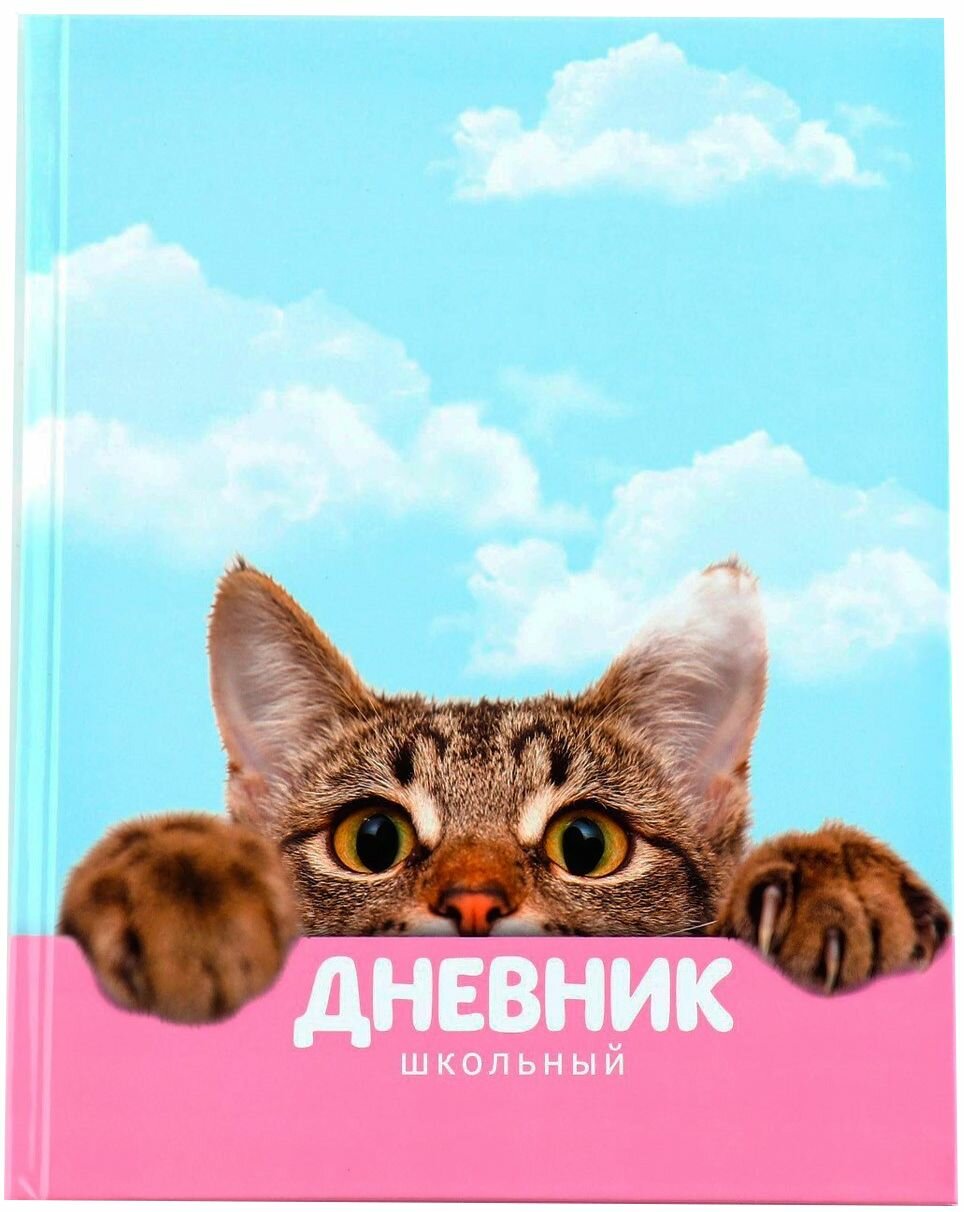 Дневник школьный "1 сентября: Котик" для 1-11 классов, универсальный дневник для школы, твердая обложка 7БЦ с глянцевой ламинацией, для девочки, 40 листов