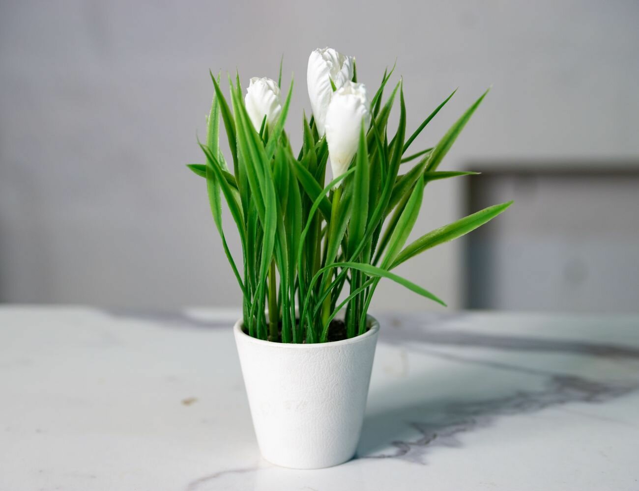 Искусственные цветы в горшке крокусы, 21 см, Koopman International 317005100-3