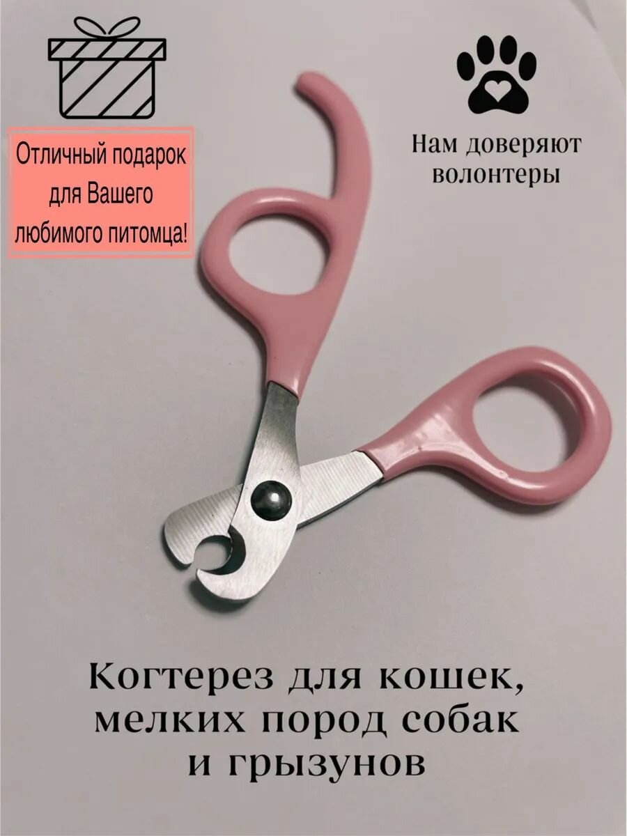 Когтерез для кошек и собак мелких пород и грызунов - ножницы для когтей