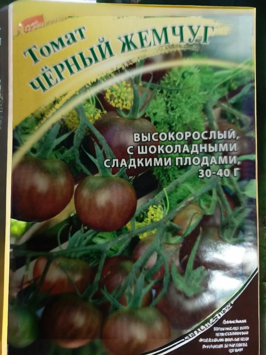 Семена томат Черный Жемчуг раннеспелый, гроздевой, сладкий сорт. Гавриш.