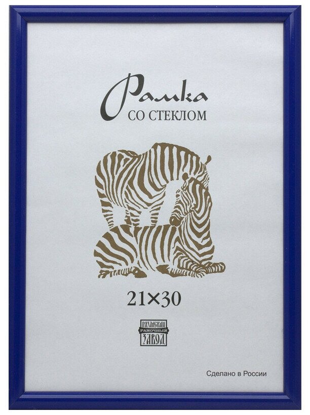 Рамка Зебра А4 21x30 см пластиковый багет 19 мм синяя 701495