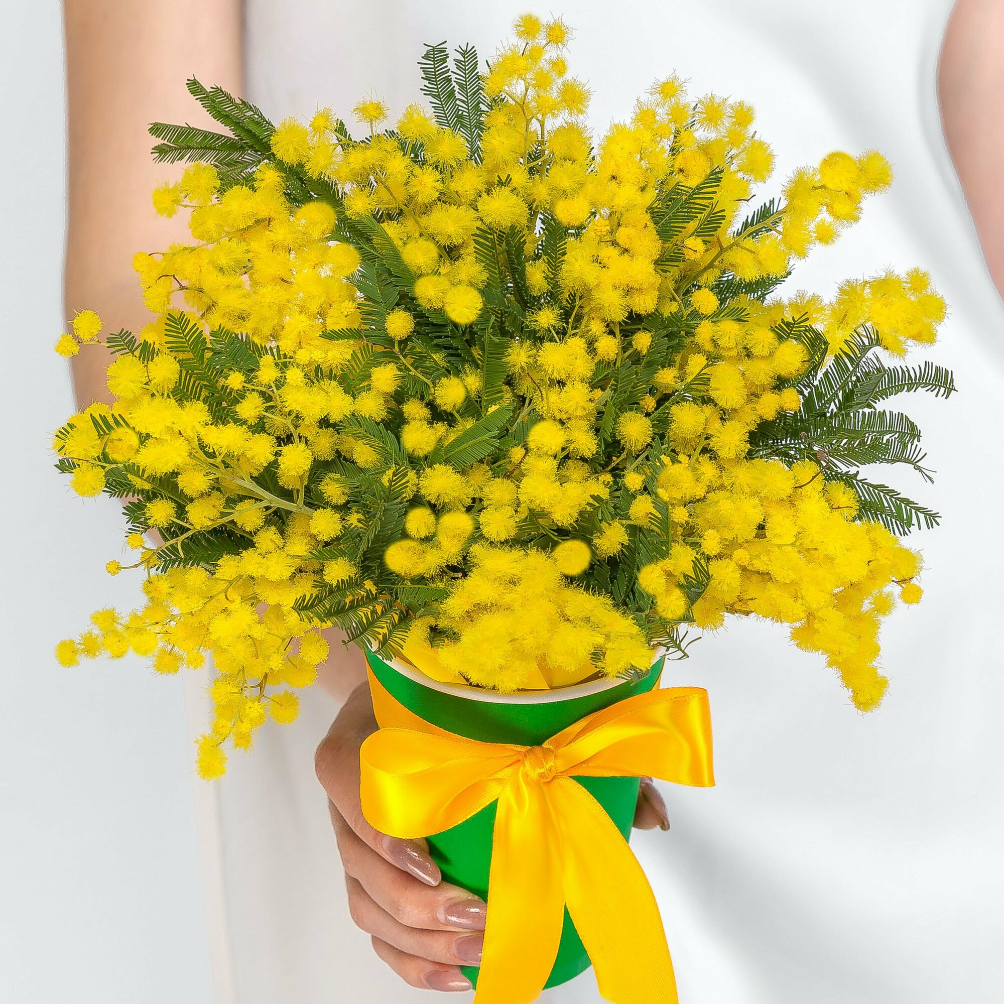 Букет Мегацвет24 "Мимоза", желтый, высота 20 см, в стаканчике