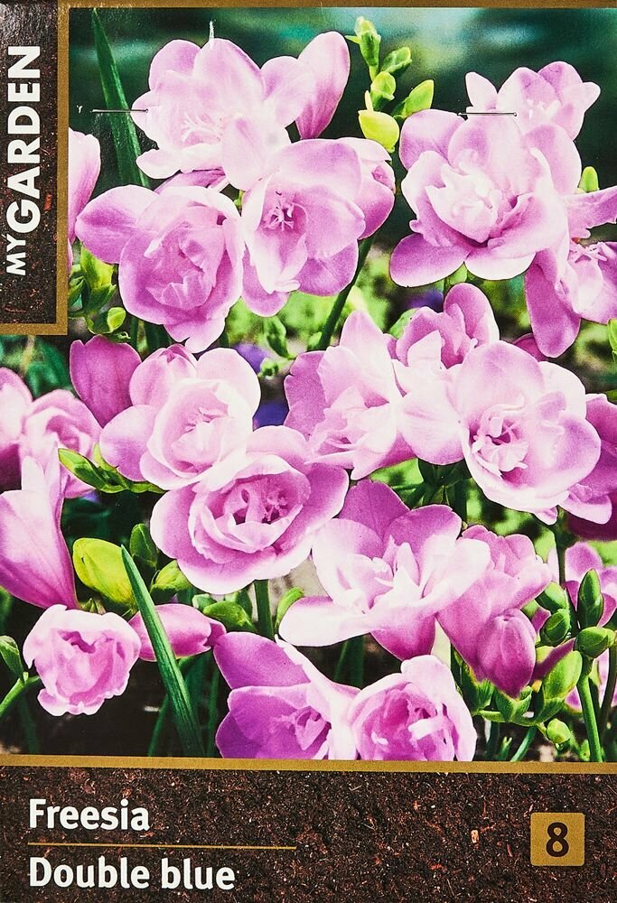 Фрезия махровая голубая 50 мм