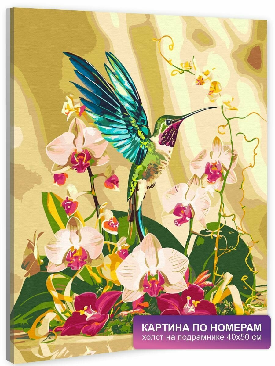 Картина по номерам на холсте с подрамником 40х50 см. Природа, животные, рыбы, птицы. "Колибри", арт. 5133/