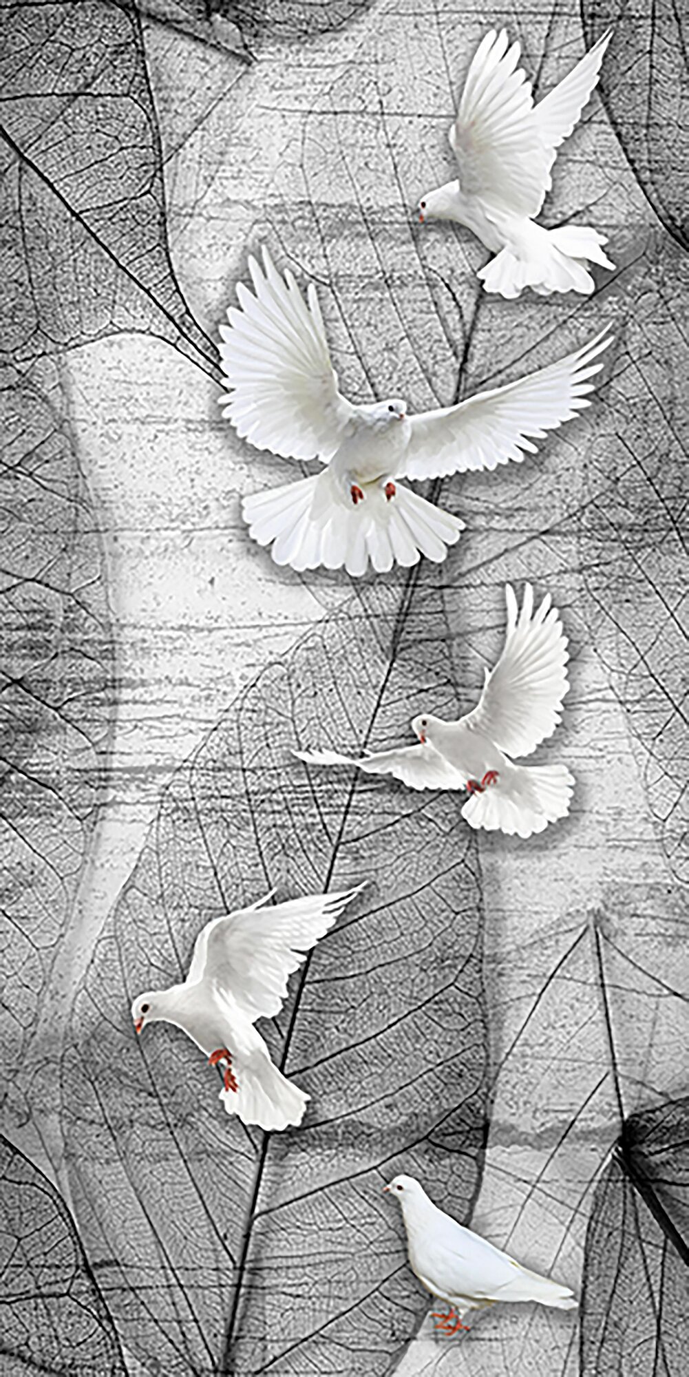 Фотообои Белые голуби 270х100 см