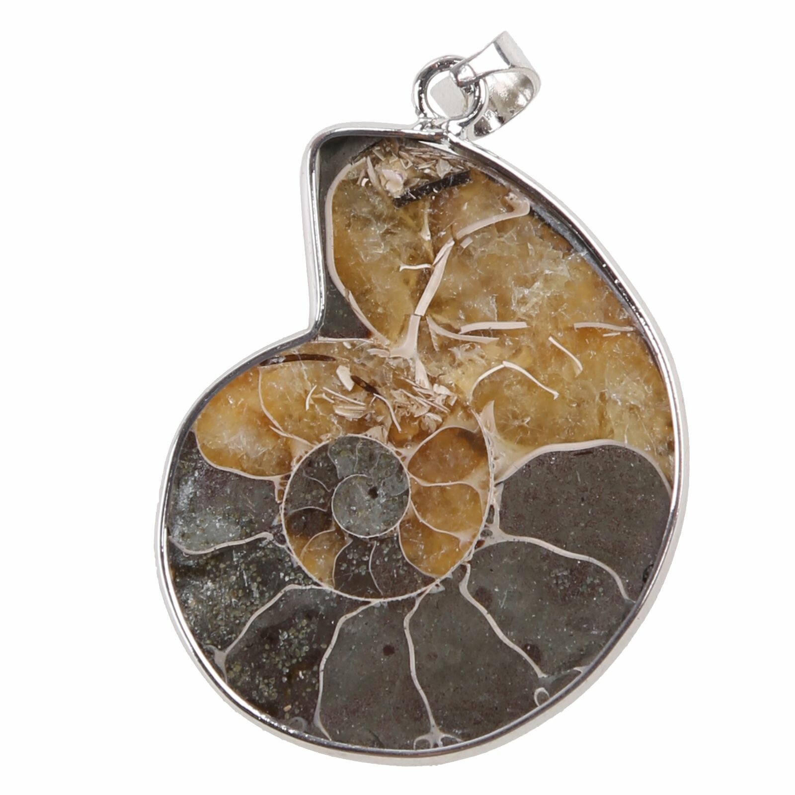 Нежная пятнистая раковина для подвески, окаменелости, улитка, ювелирные изделия, подарок на День матери, святого Валентина