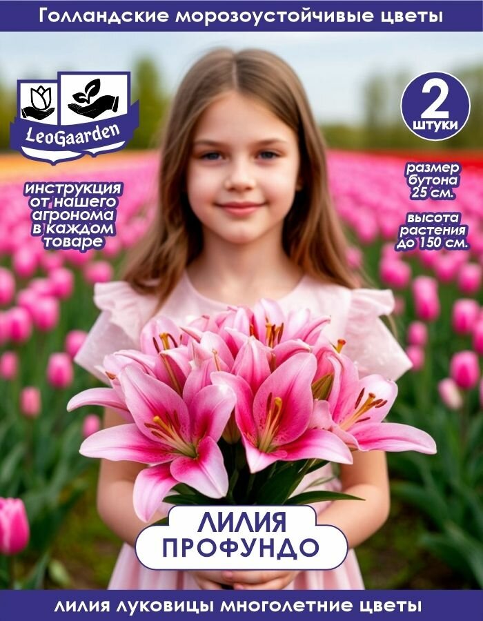 Лилия Луковица, Профундо, 2 шт