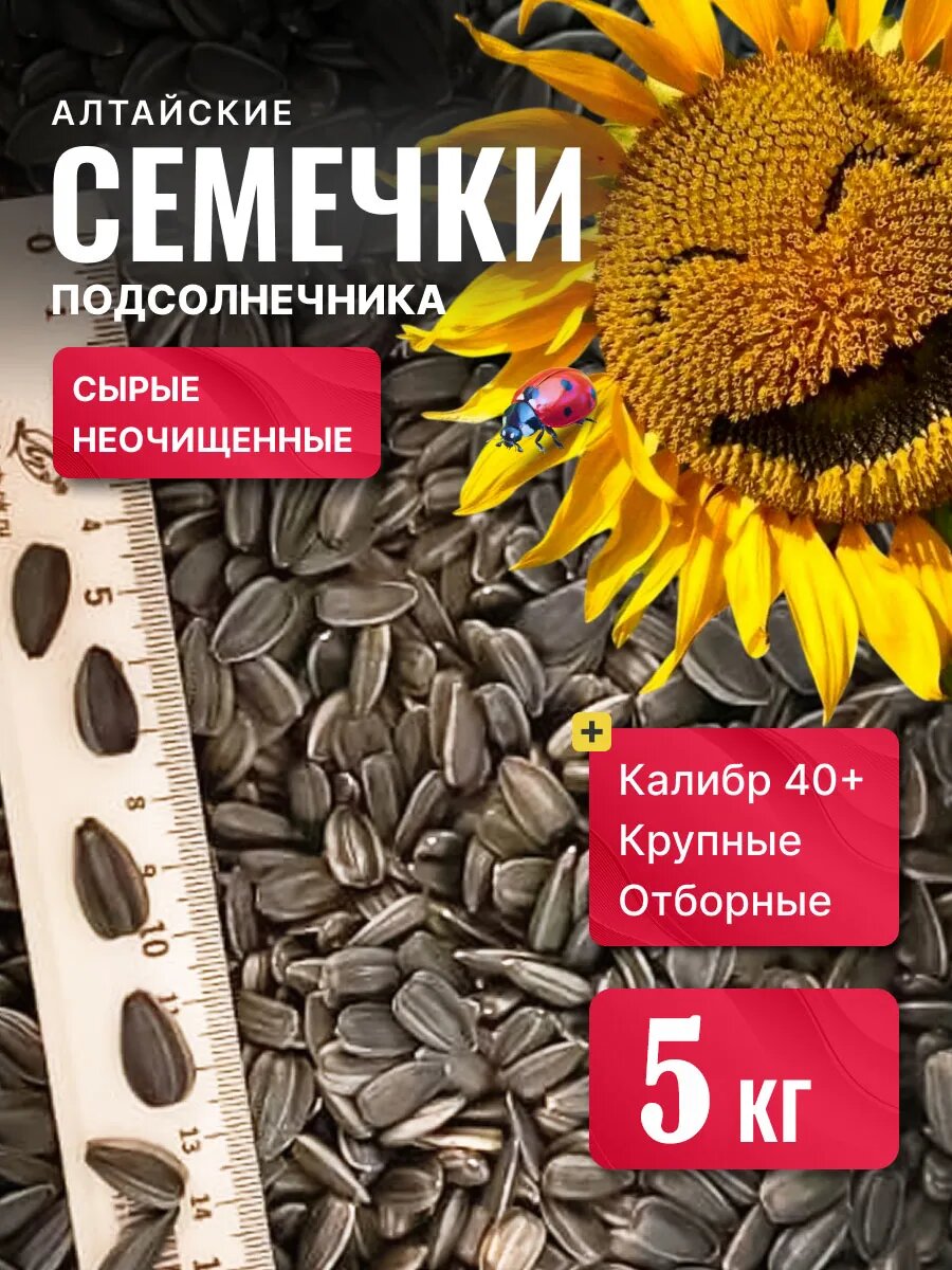 Семечки подсолнечника Алтайские сырые 5 кг, крупные