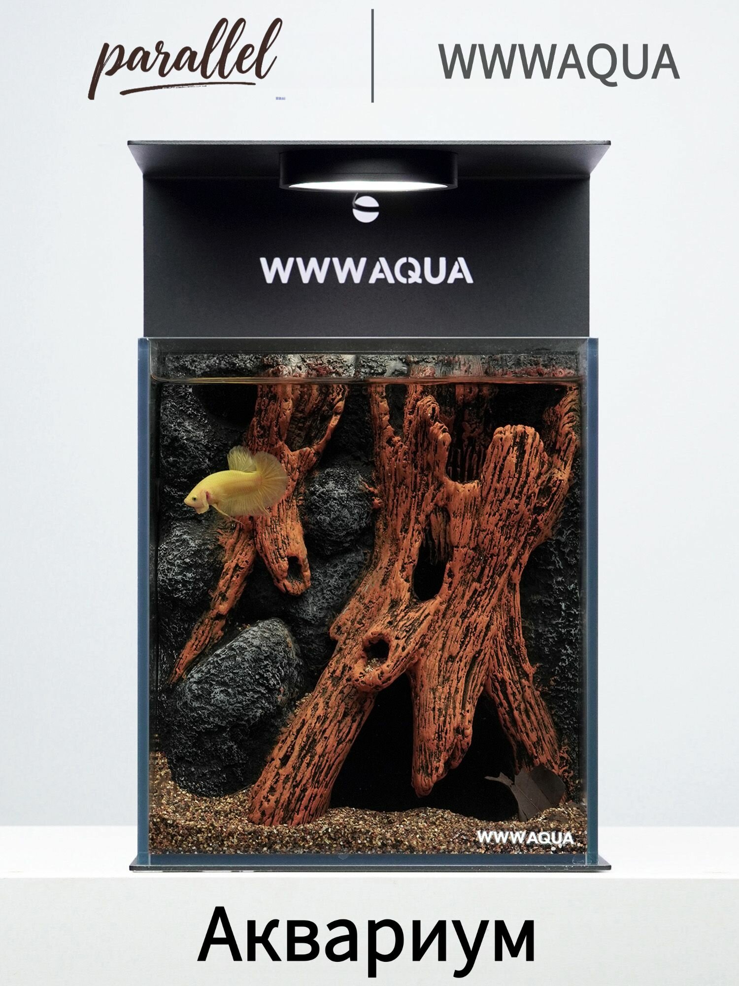 Мини-аквариум WWWAQUA PARALLEL