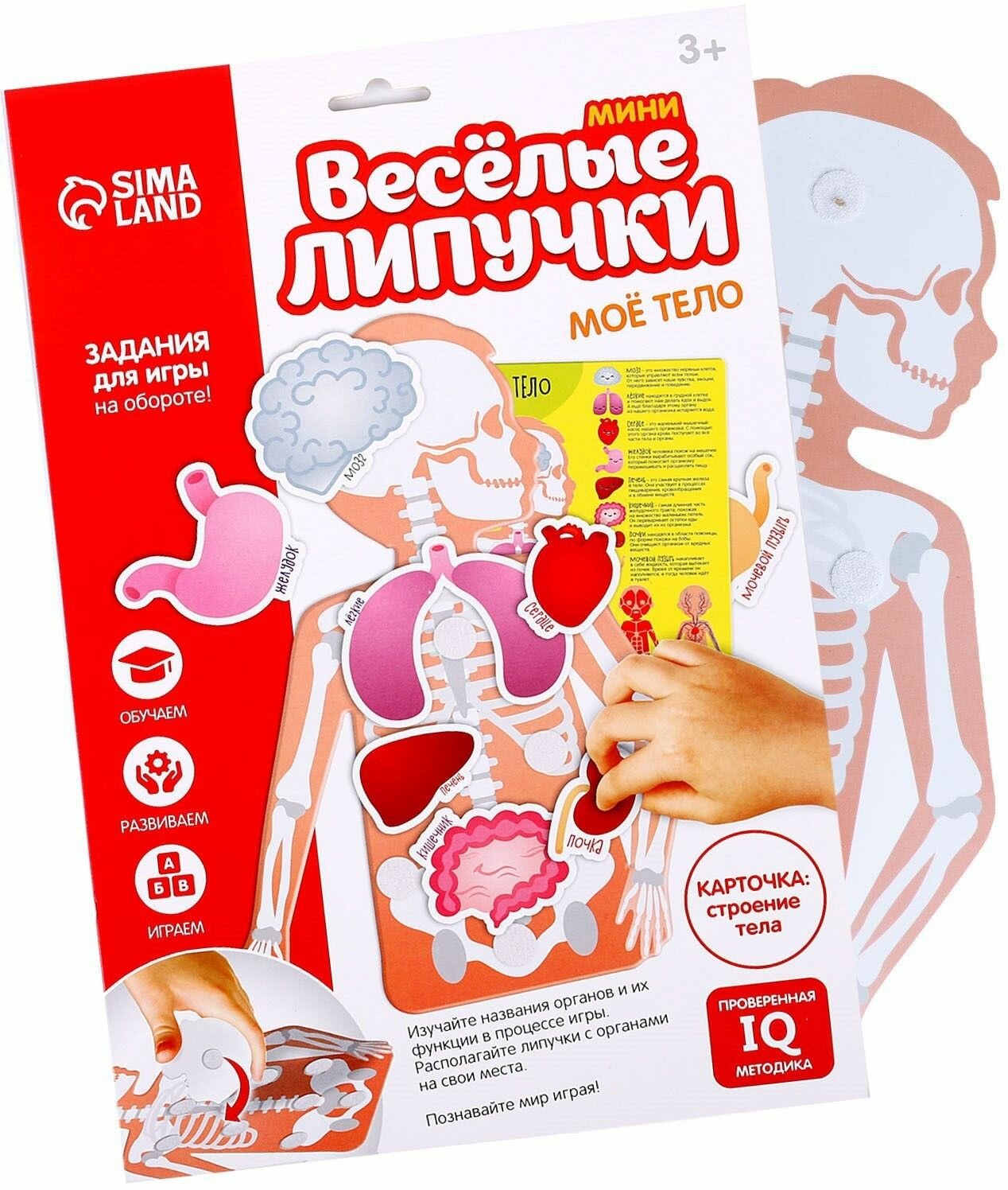 Настольная игра на липучках "Моё тело", учим строение тела, анатомия человека, обучающий IQ набор, 7 липучек