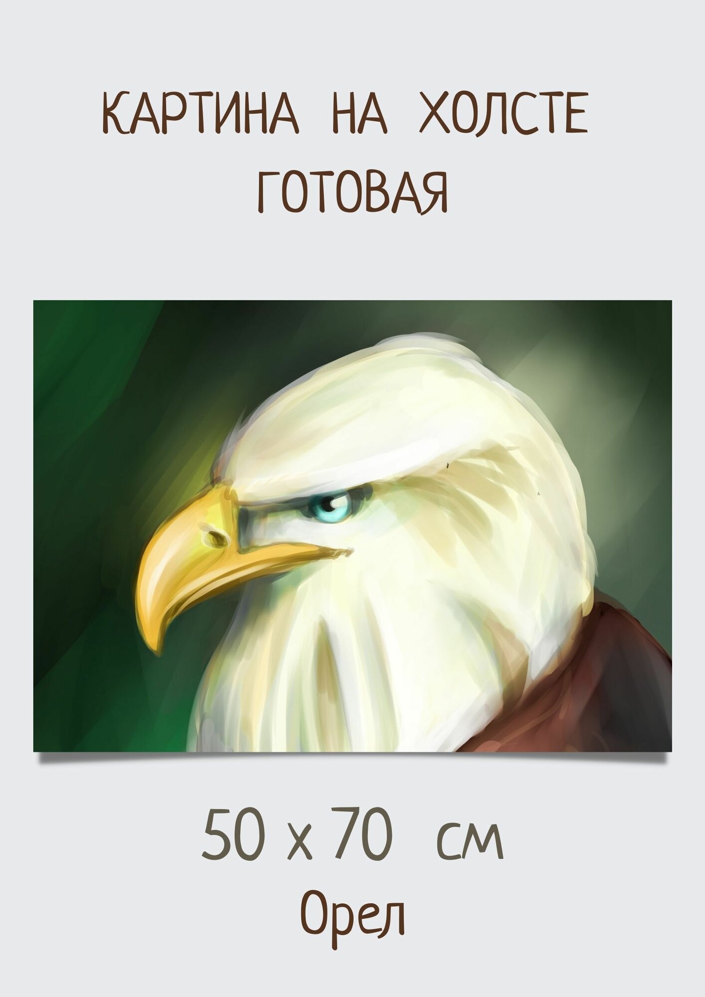 Картина Орел в небе арт изображение на холсте - Орлы 70x50