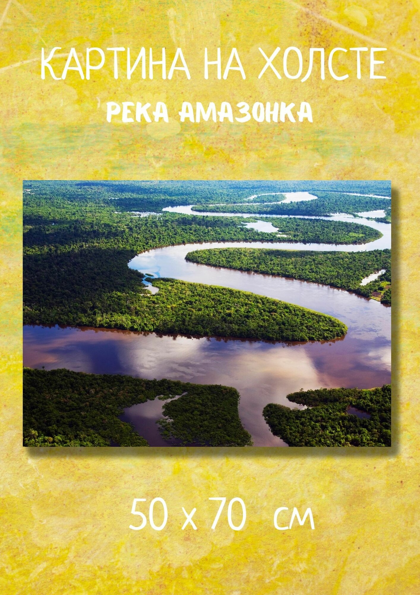 Картина интерьерная Реки мира "Амазонка" 70 на 50