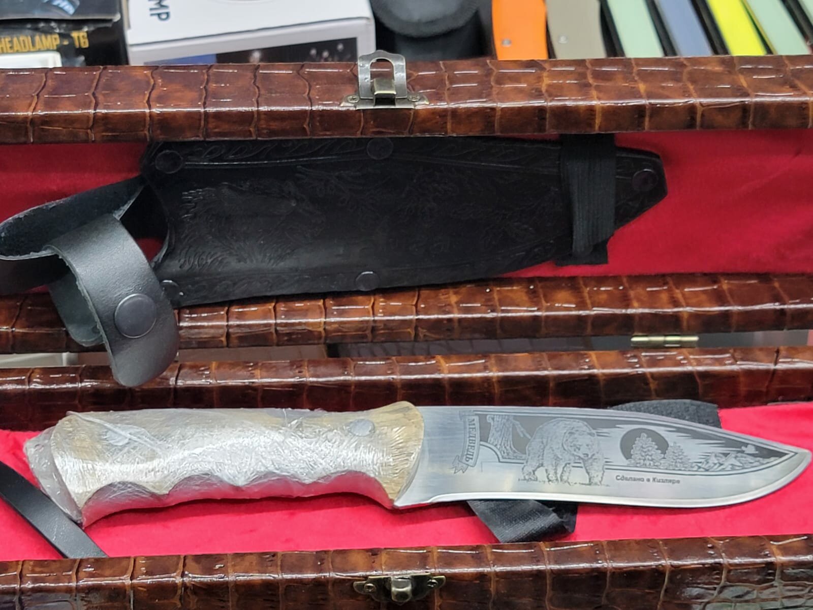 Нож туристический медведь , Тайга , разделочный в чехле ножнах и подарочном кожаном футляре