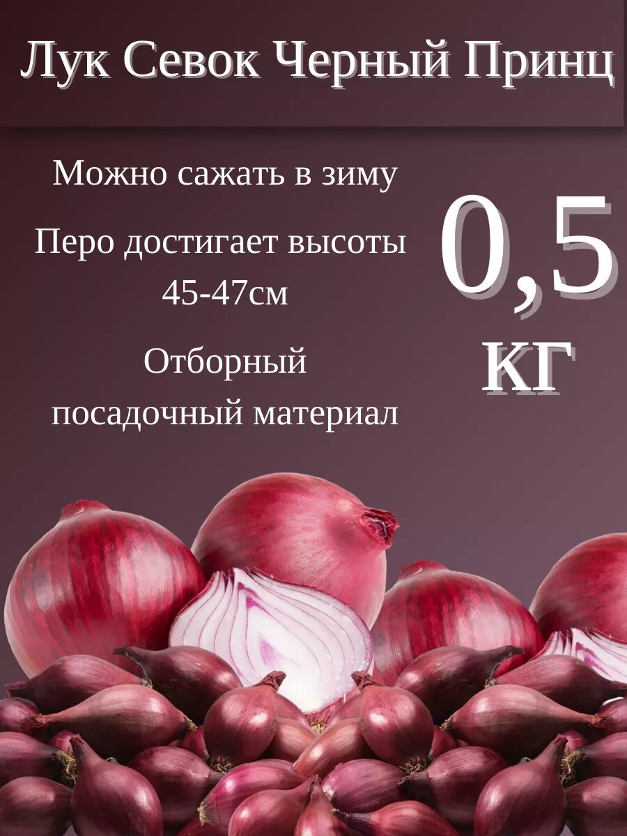 Лук Севок сорт "Черный Принц" 0,5кг