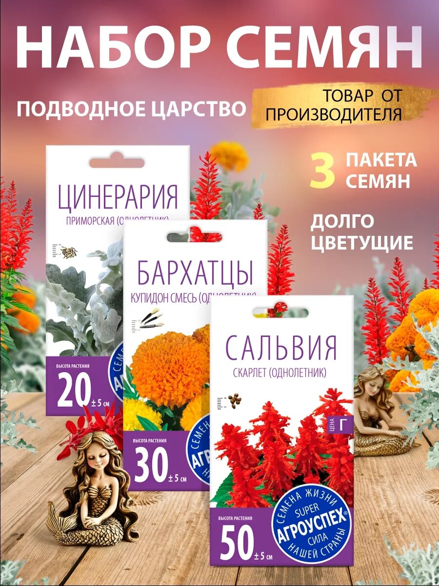 Семена цветов Бархатцы, Сальвия, Цинерария 3 шт