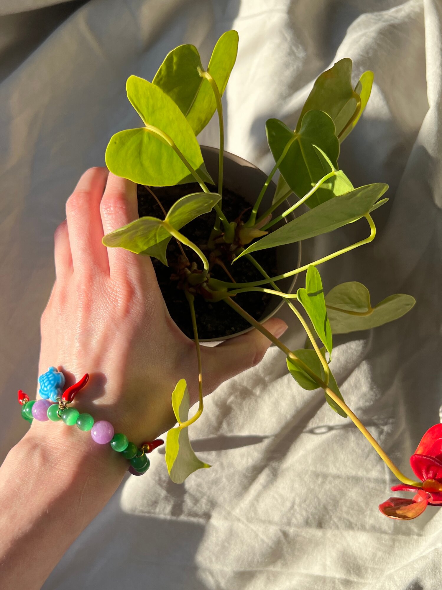 Браслет-цепочка Double choker please, халцедон