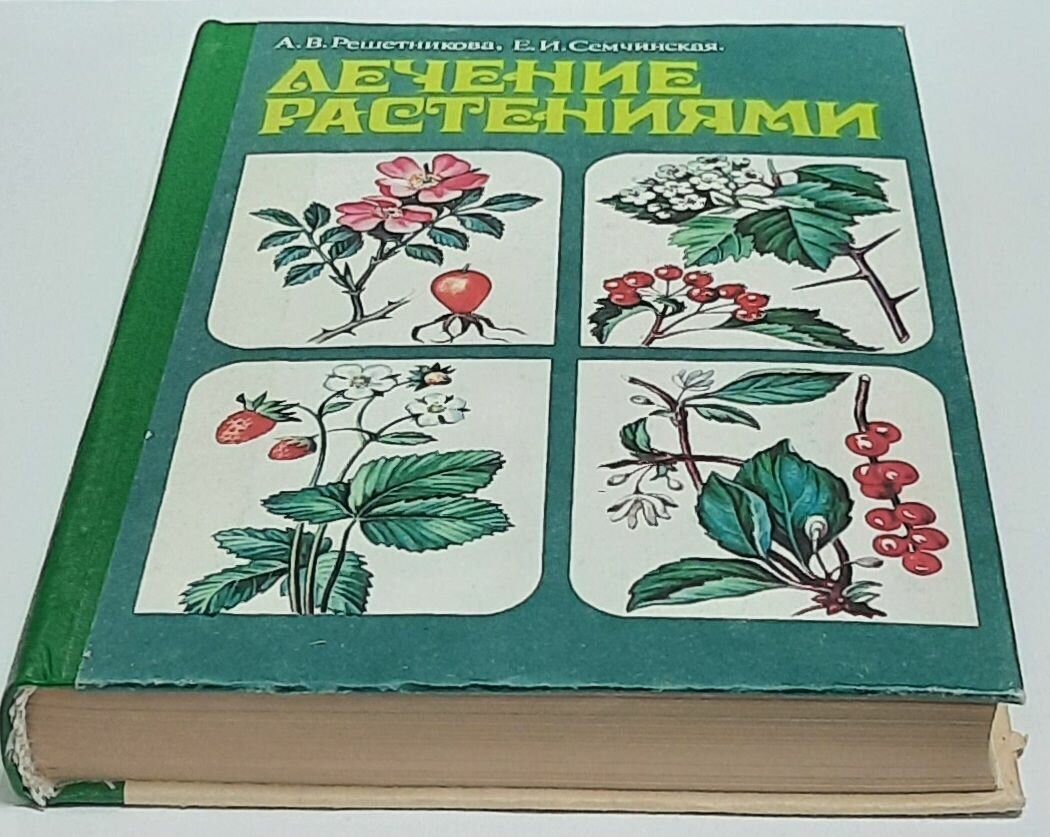 Лечение растениями — фото 1