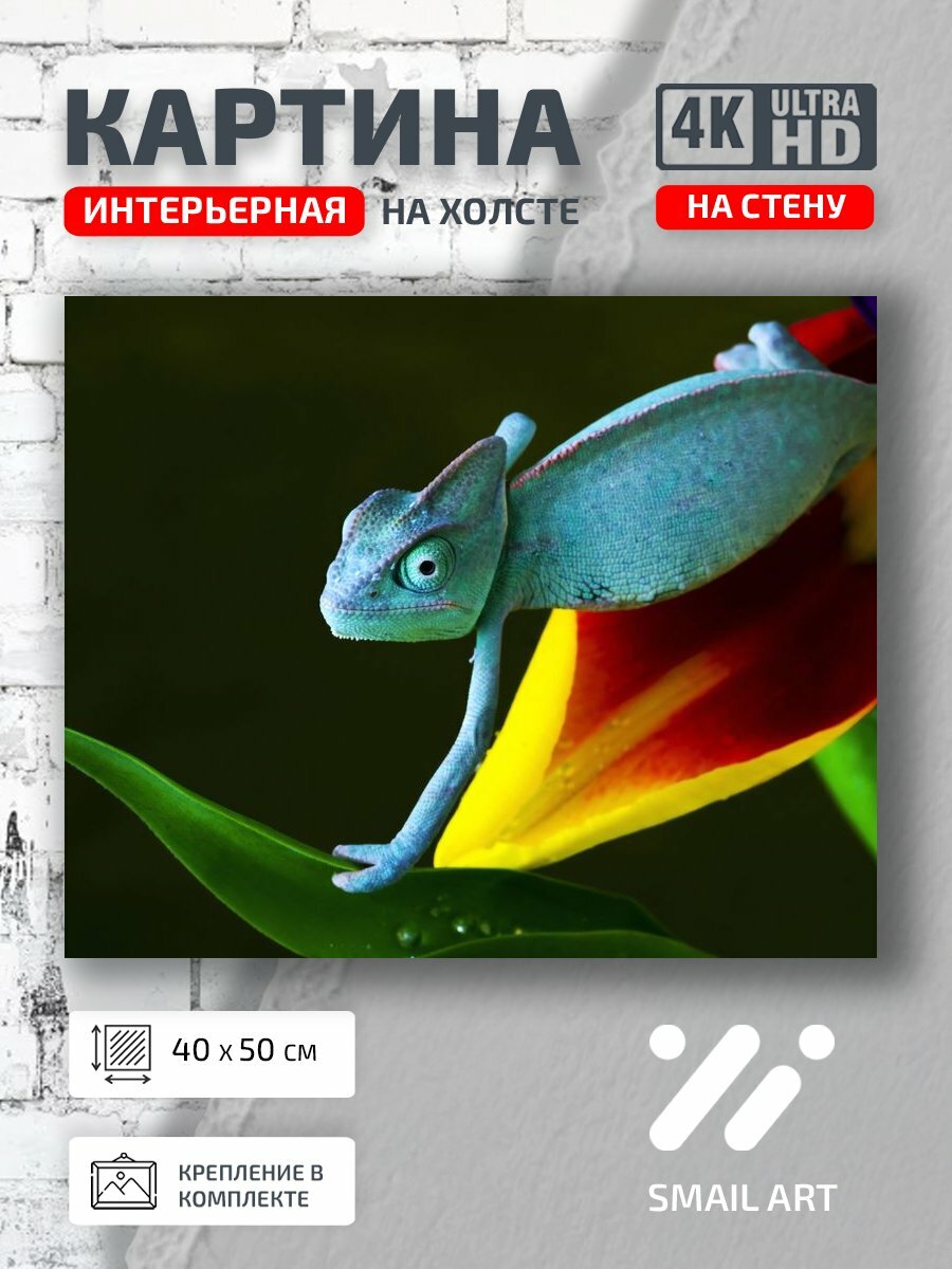 Картина на холсте интерьерная 40 на 50 на стену Ящерица Mood для гостиной атмосфера декор